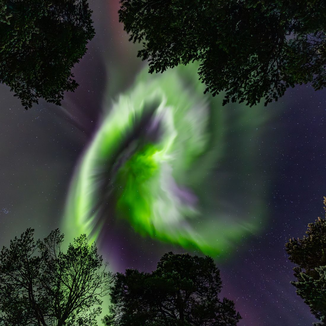 Oliver Wright Photography