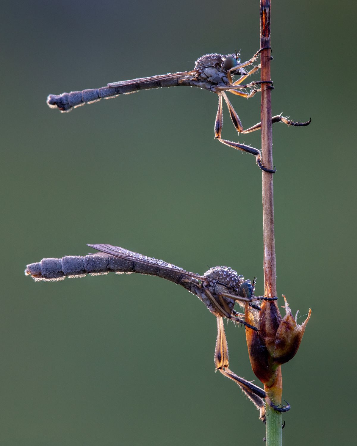 Oliver Wright Photography