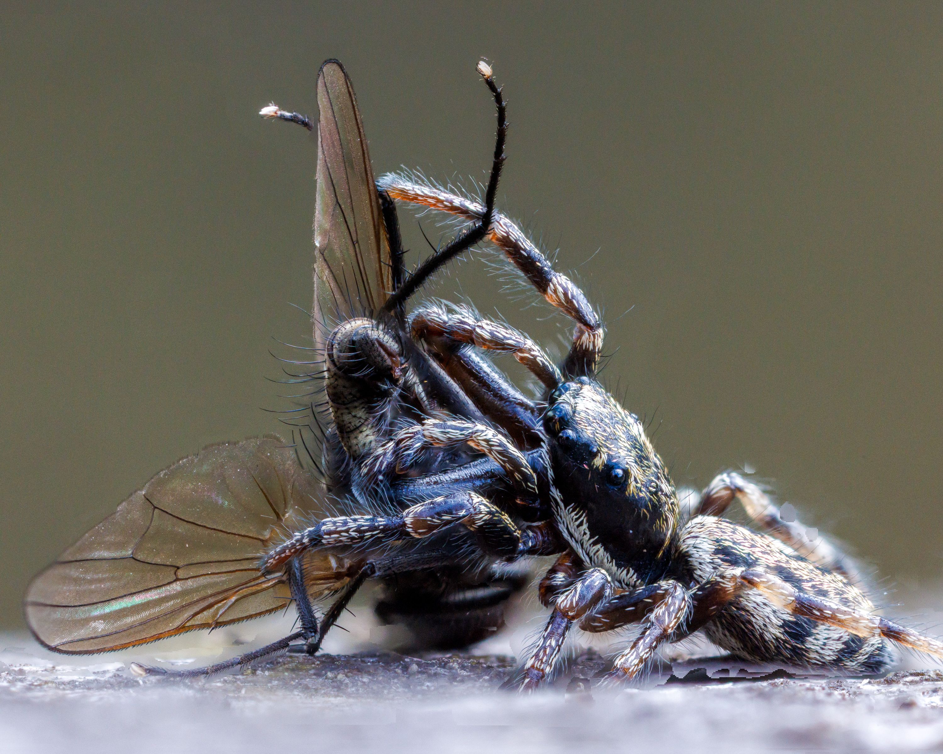 Oliver Wright Photography