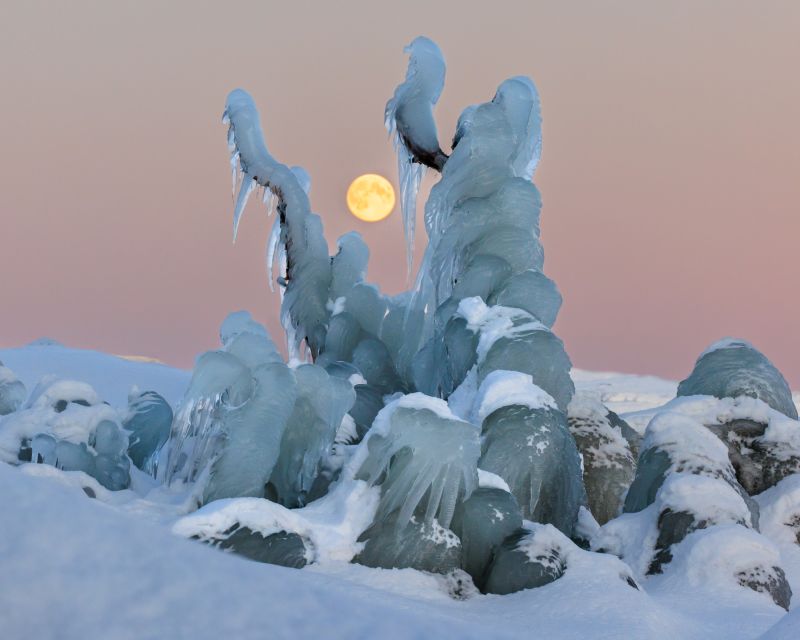 Oliver Wright Photography