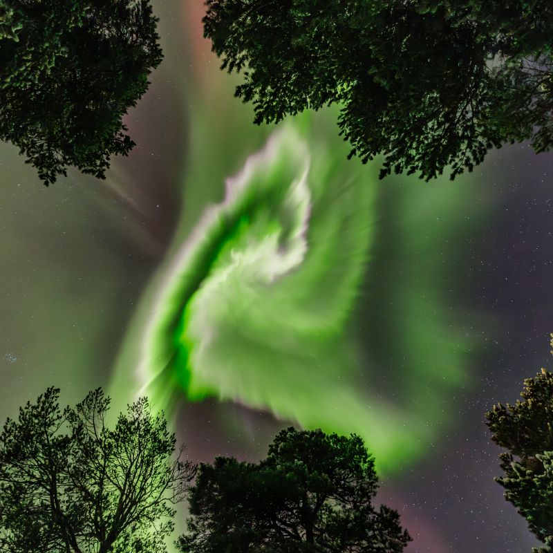 Oliver Wright Photography