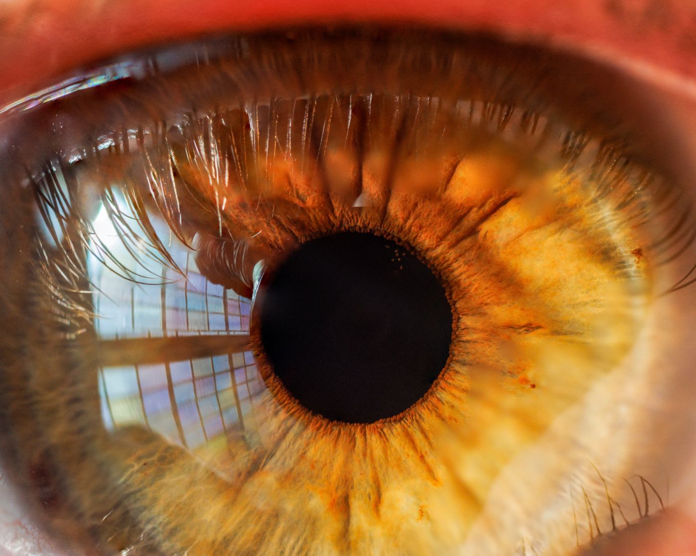 Oliver Wright Photography