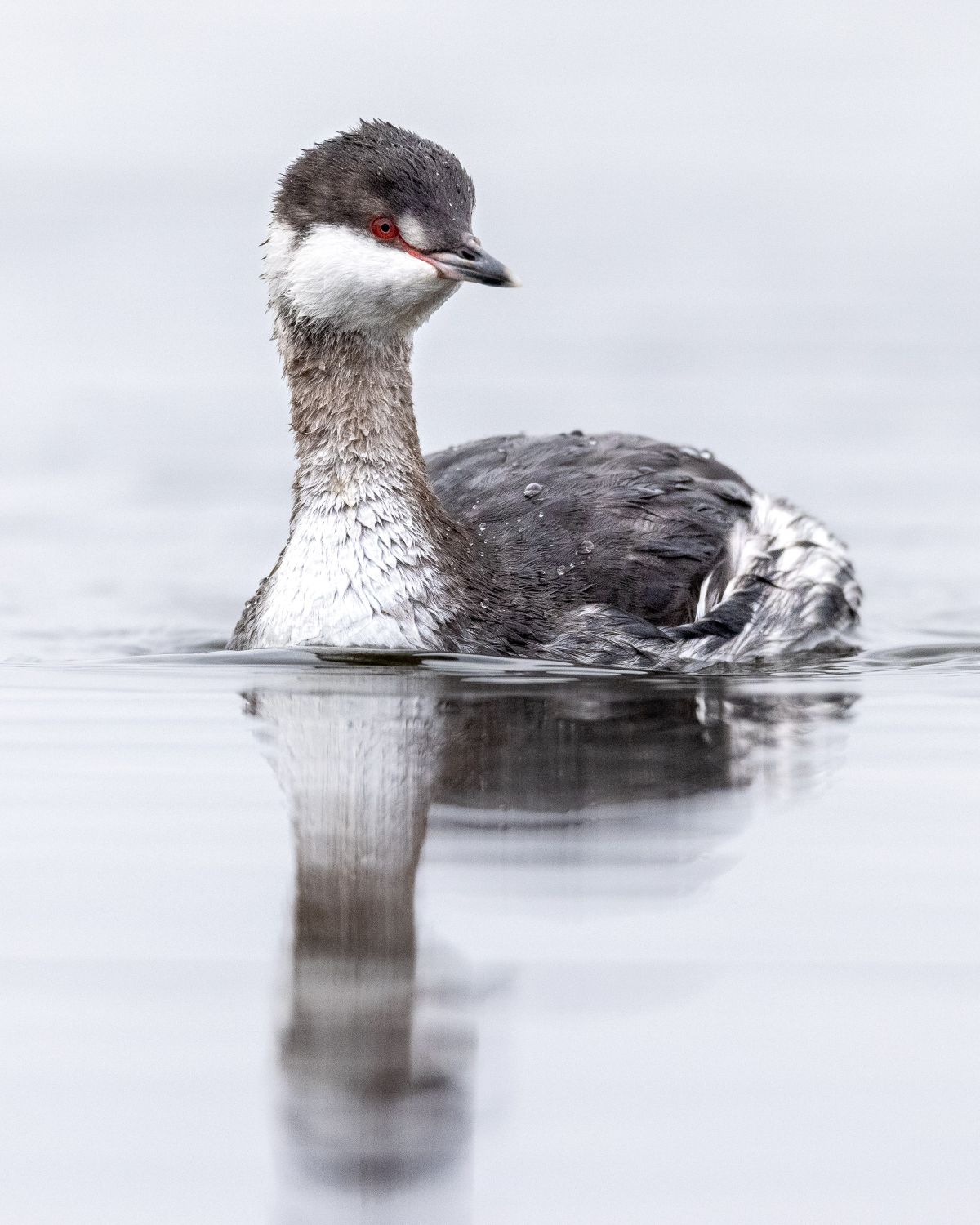 Oliver Wright Photography