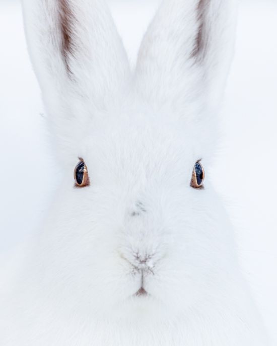 Oliver Wright Photography