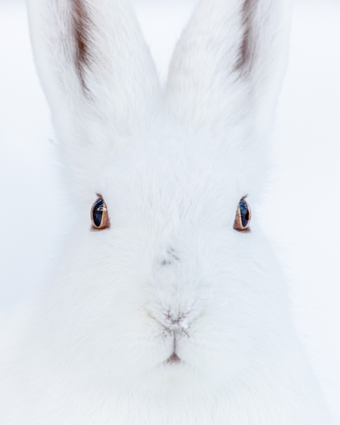 Oliver Wright Photography