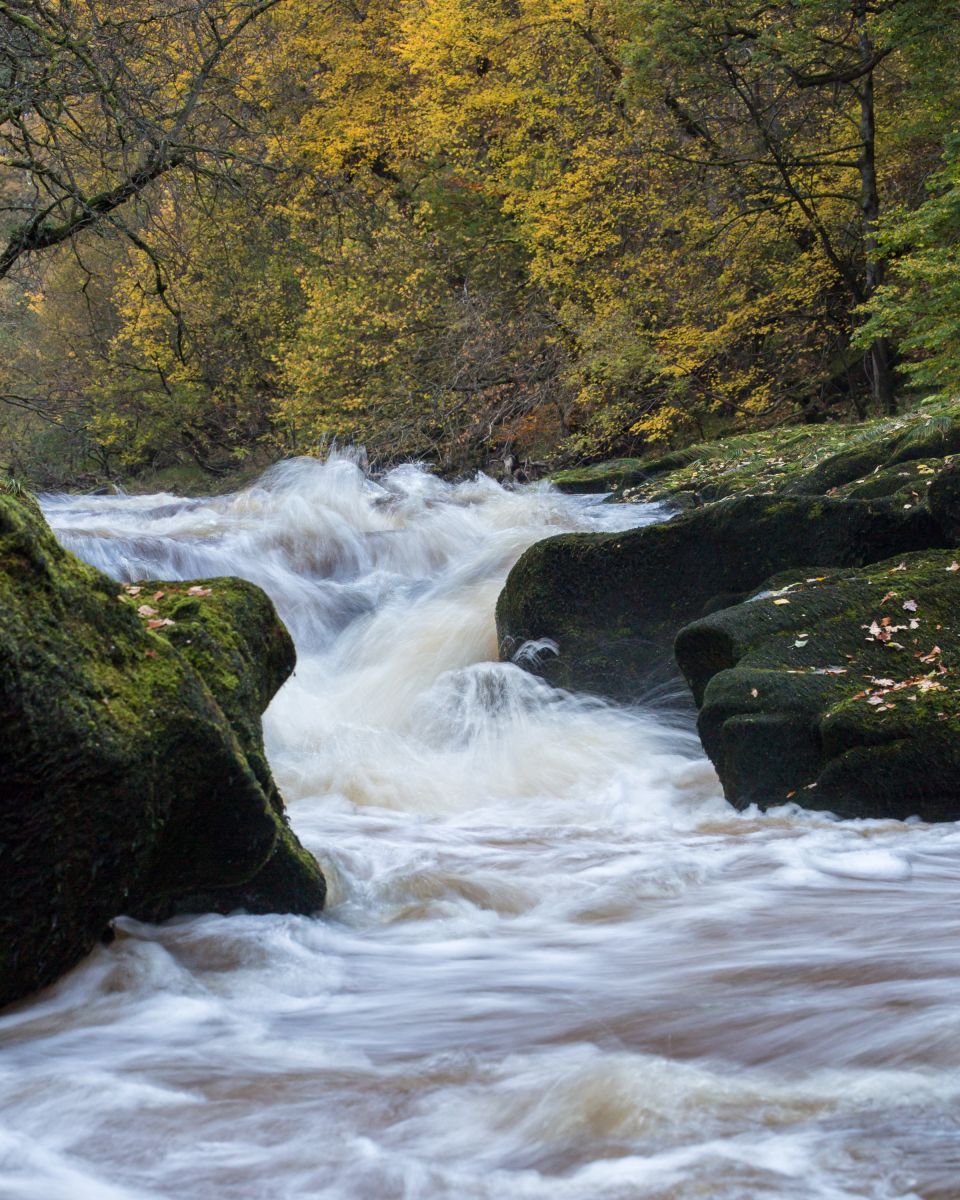 The Strid at Bolton Abbey